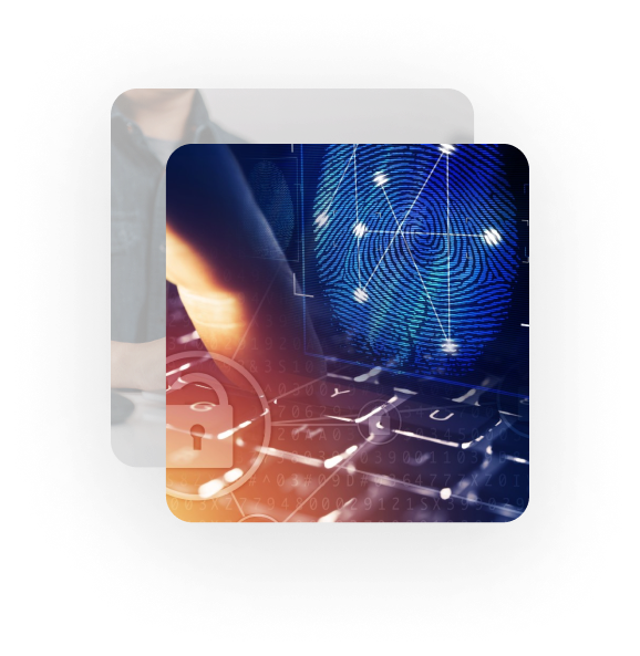 Brand Infringement Protection - Panshul Multi Trade